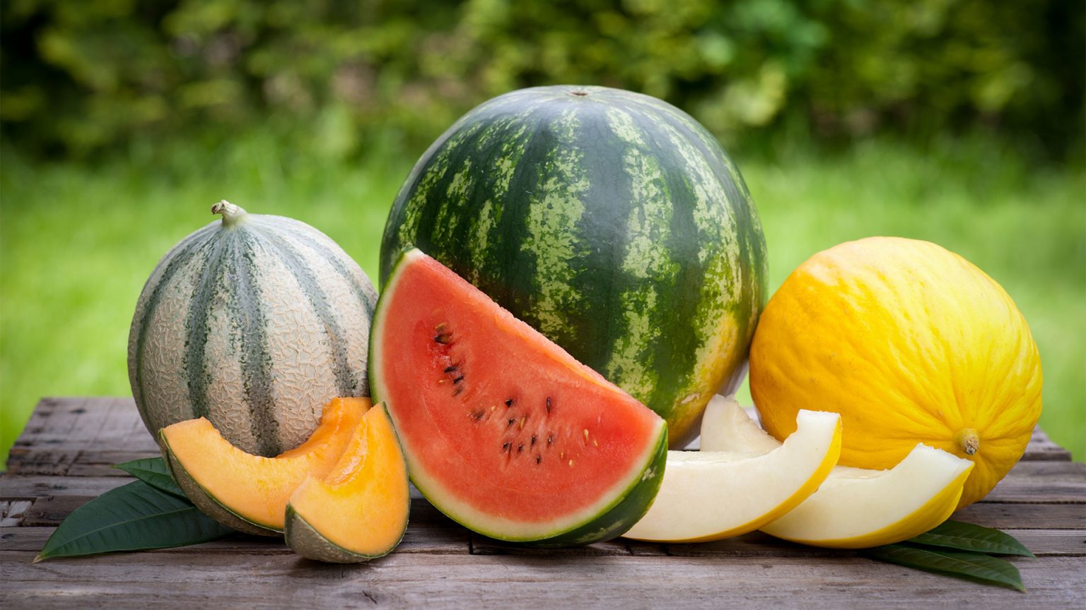 Melon madness | Treasury Today